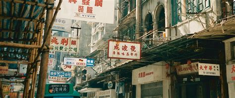 Exportmarketingplan Evofenedex