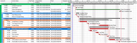 Using The P6 Wbs Summary Task To Specify A Lump Sum Cost