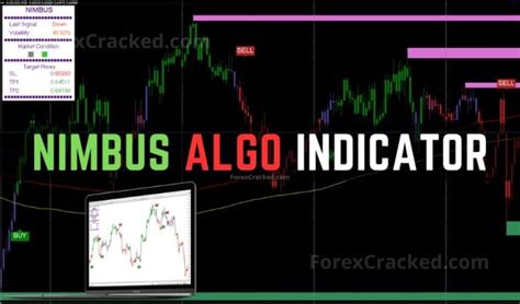 Nimbus Algo Free Indicator Download Forexcracked