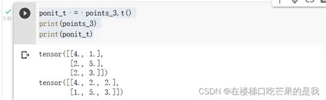 Pytorch 认识tensor storage 和storage offset shape和size stride t 和transpose stride