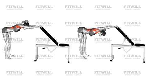 Back Pec Stretch Exercise Guide Video Techniques Benefits How To