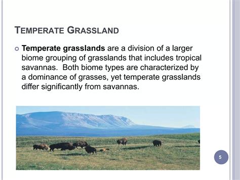 Intro To Grassland Pptx Geography Science