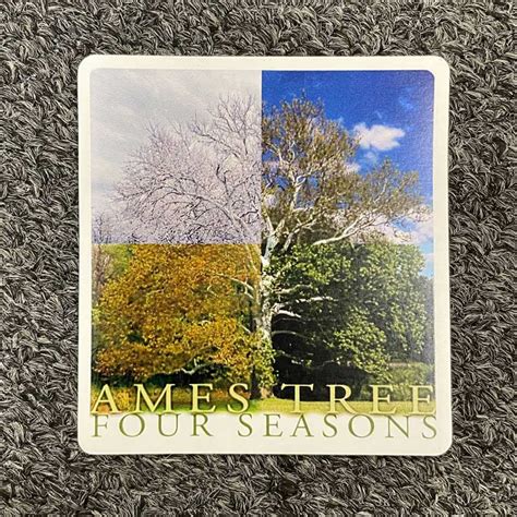 Ames Tree Magnet Shop Iowa