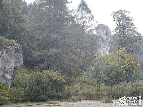 Maczuga Herkulesa Skała W Ojcowskim Parku Narodowym