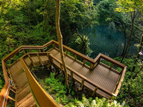 This Mysterious Florida State Park Devils Millhopper Is Worth A