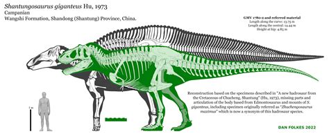 Shantungosaurus Giganteus The Largest Non Sauropod Dinosaur Scrolller