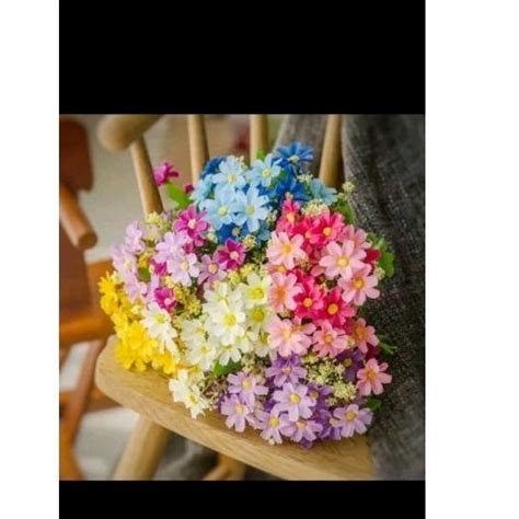 Jual Bunga Kecil Kecil Aster Shopee Indonesia