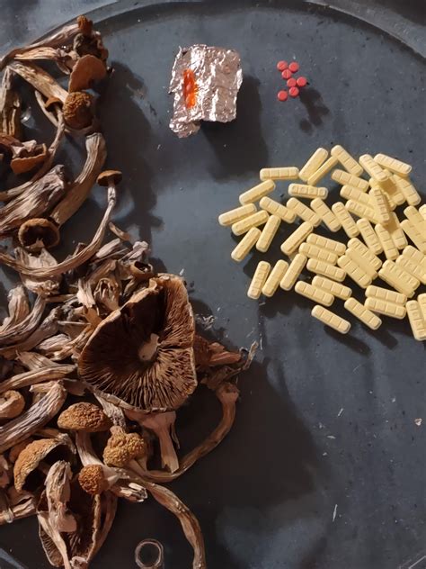 Shrooms Lsd Gel Tabs 1p Lsd Microdots 150 Ug And Some School