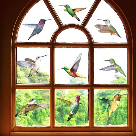 Xianxian Anti Collision Window Clings Bird Alert Collision Decals To