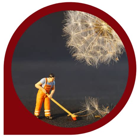 Data Cleanup Modernization Washington State University