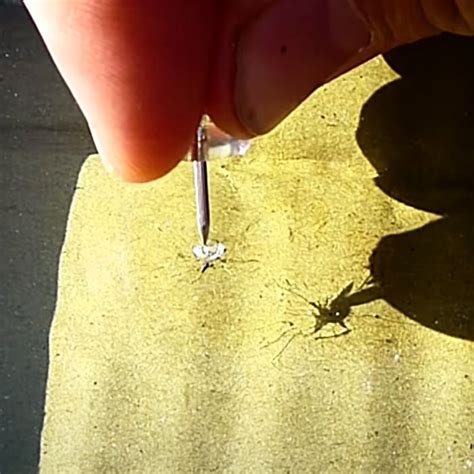 How To Repair A Cracked Windshield