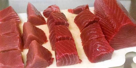 Sushi Tuna 101 Types Grades And More