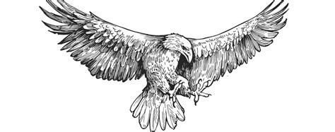 Comment Dessiner Un Aigle Bijouterie Fantaisie Shop