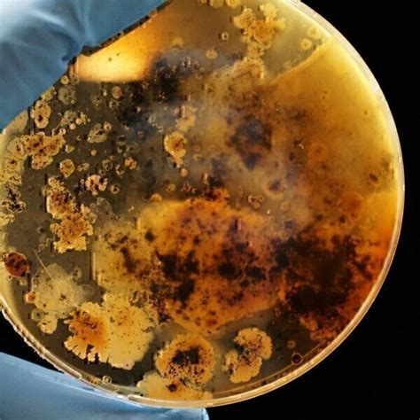 How Is Gc Ir Used Chromatography Today