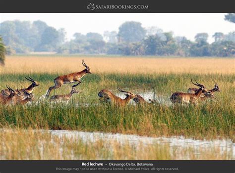 Botswana Weather And Climate Climate Chart