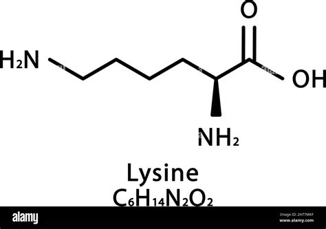 Lysine Molecular Structure Lysine Skeletal Chemical Formula Chemical
