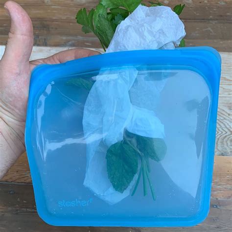 When You Come Home From The Store With Fresh Herbs Wrap Them In A Damp Paper Towel And Then