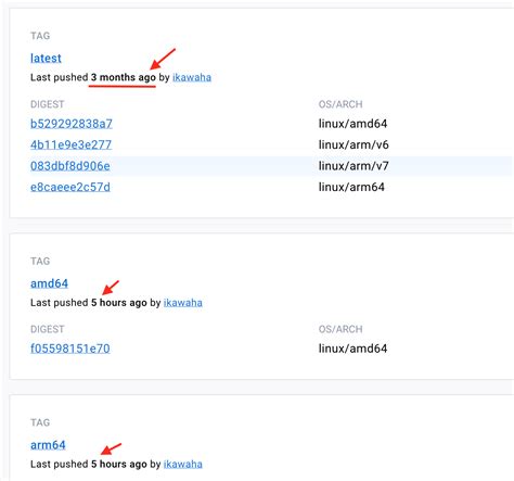 Github Actions Docker Build Failed · Issue 298 · Ikawahakagome · Github