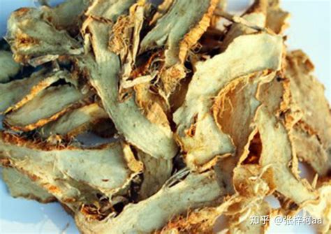 中药学—知母 知乎