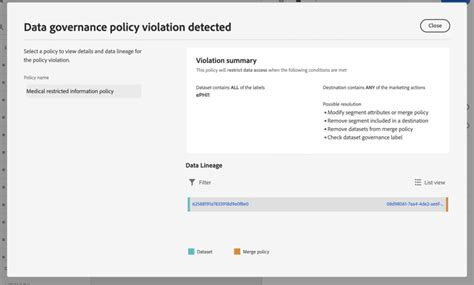 Data Governance Adobe Journey Optimizer