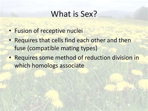 Why Sex Ppt Download