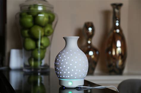 Tekjoy Aroma Diffuser Humidifier Tekjoy Massager