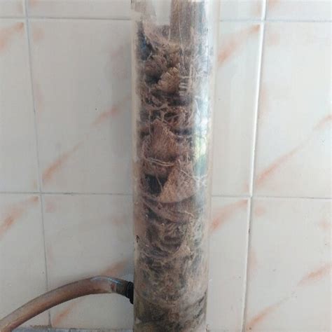 Packed Bed Reactor Column With Single Substrate Jfm Download