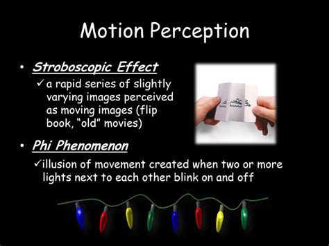 What Does Stroboscopic Motion Mean At Lauren Welch Blog