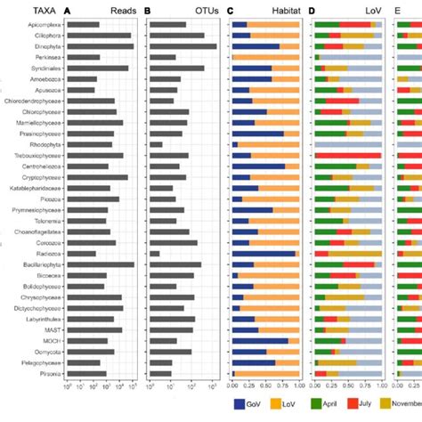 Taxonomic Group Composition Based On The Normalized Dataset A
