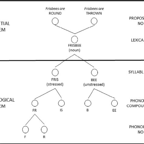 Nodes Representing Various Types Of Linguistic Information For The Word Download Scientific