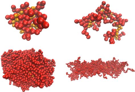 Characteristic Snapshots Of Bottle Brush Polymers With A Flexible Download Scientific Diagram