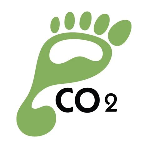 ¿qué Es La Huella De Carbono Definición Características Y Propiedades