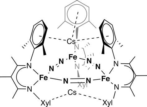 Dinitrogen Binding And Cleavage By Multinuclear Iron Complexes