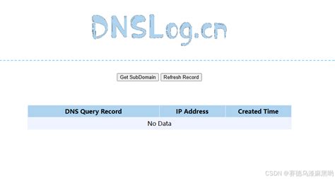 Web漏洞知识梳理笔记 Dnslog数据外带dnslog外带 Csdn博客 Web漏洞知识梳理笔记 Dnslog数据外带dnslog外带 Csdn博客