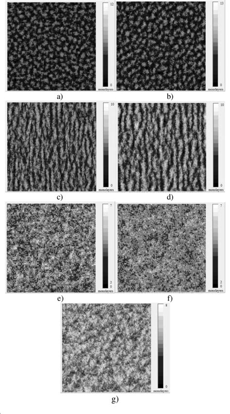 Simulated Colloidal Structures The Deposition Time Is 50 Simulation Download Scientific