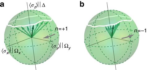 qubit in a noisy environment bloch vectors green arrows describing