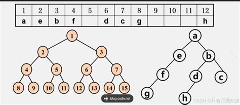 C语言二叉树二分树 Csdn博客 C语言二叉树二分树 Csdn博客