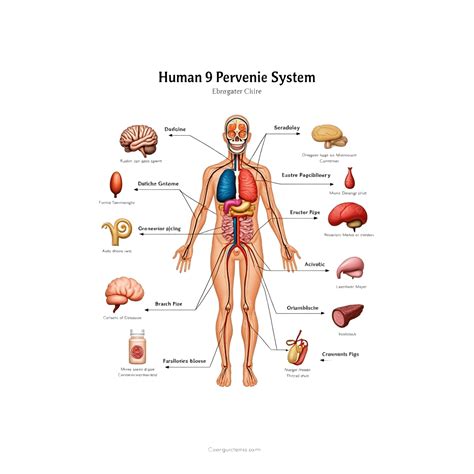 Medical Chart Human Body