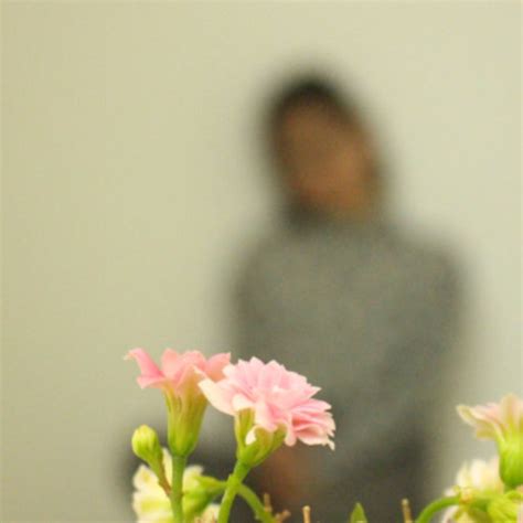 Wang Xiaohan Chinese Academy Of Sciences Beijing Cas The Key Laboratory Of Plant