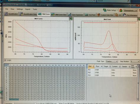Is This Qpcr Primer Dimer Or Something Else Researchgate