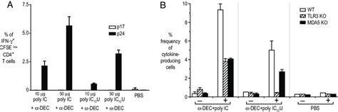 Poly Ic12u Acts As An Adjuvant For Cd4 T Cell Immunity To Dec P24 Download Scientific Diagram