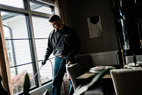 Carpenter Ants Vs Termites The Experts At Kennewick Pest Control By Bamboo Have The Answer