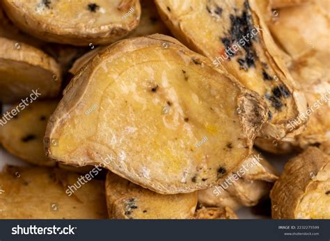 81 Imágenes De Moldy Ginger Imágenes Fotos Y Vectores De Stock Shutterstock