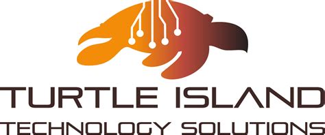 Turtle Island Technology Solution Leading It Services And Solutions