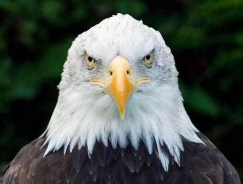 Pictures Of Michael Luckett