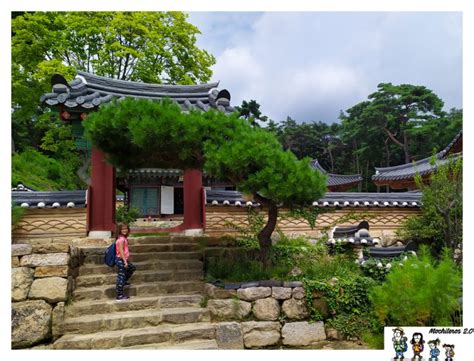 Daegu Corea Del Sur 8 Lugares Que Ver Y Visitar En Dos Días