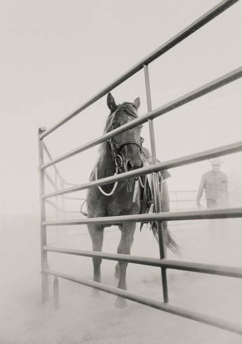 Lasso And Lens Photo Lassoandlensphoto Profile Pinterest