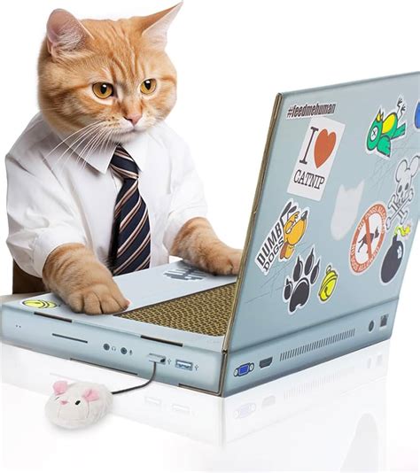 Cat Computer