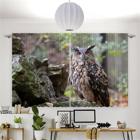 Vorhang Motiv Eule Wald Felsen La Mellede