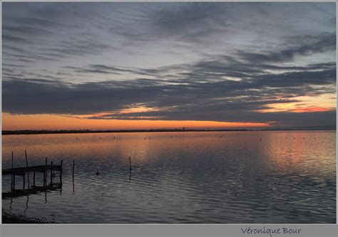 Véronique Bour Flickr